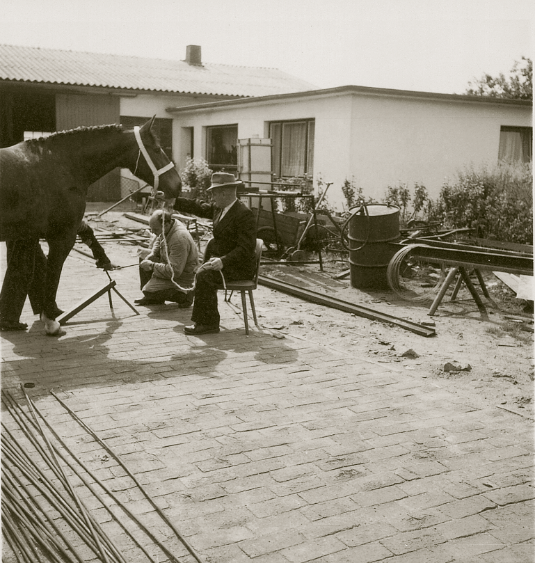 Böckmann | Innovation and tradition