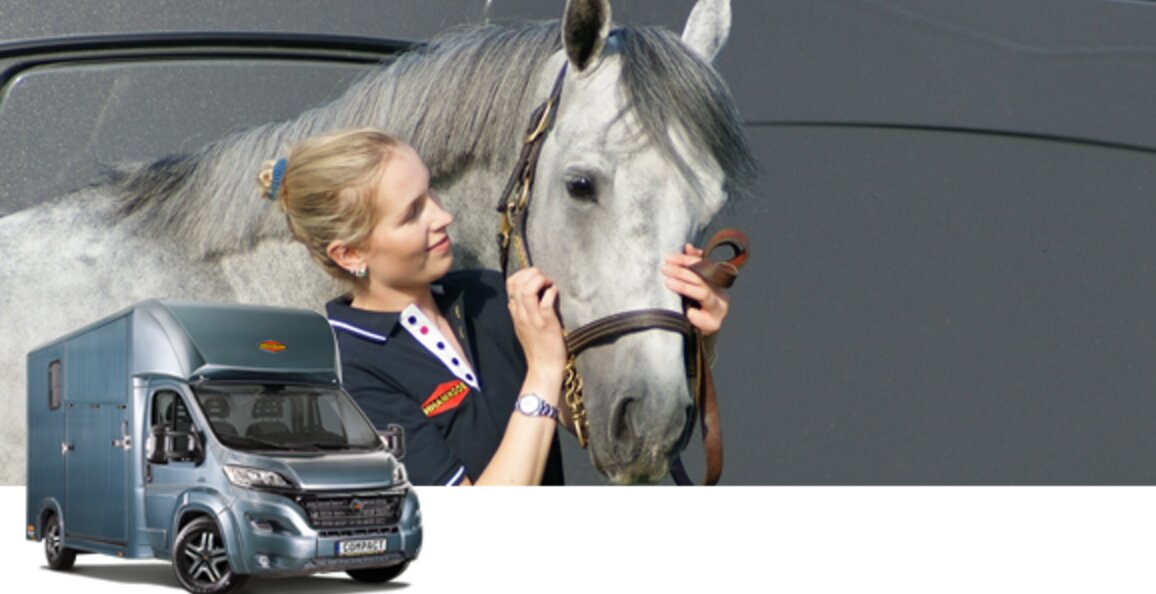 Böckmann Fahrzeugwerke | Trailers and horse trucks