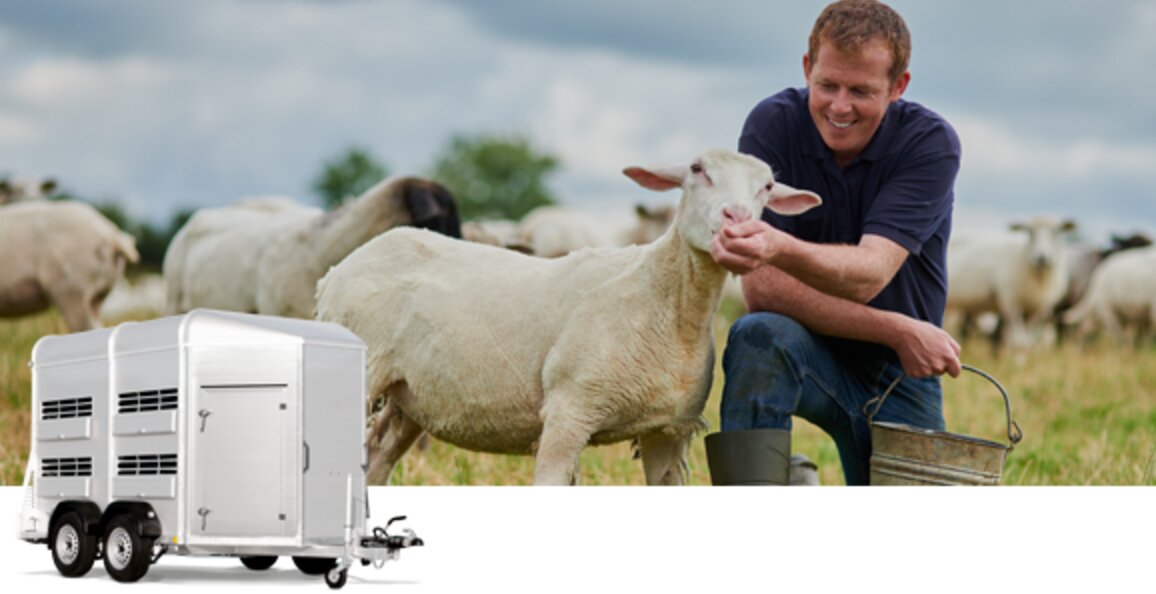 Böckmann Fahrzeugwerke | Trailers and horse trucks